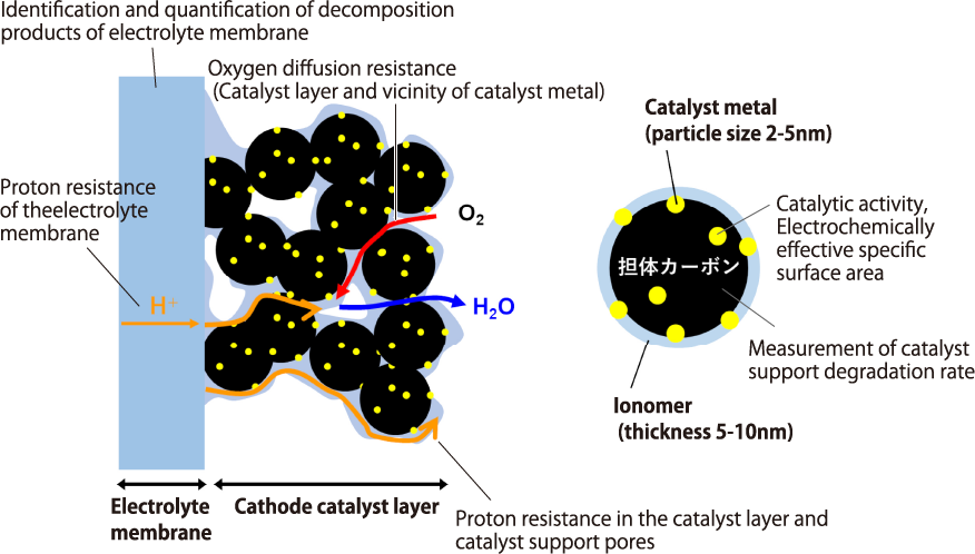 Technology Information | Fuel cell cutting-edge research center ...
